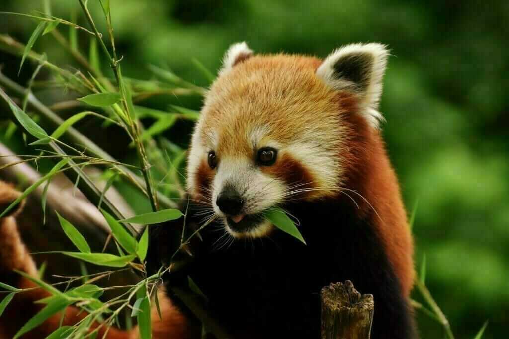 8 Façons De Filtrer Un Dataframe Pandas Guide Pratique